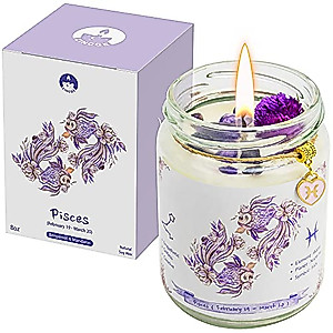 ZINCGE Pisces Zodiac Crystal Candle Gifts for Women, Astrology Spiritual Birthday Gifts Horoscope Natural Soy Bergamot Scented Candle with Dry Flowers and Amethyst Healing Crystals