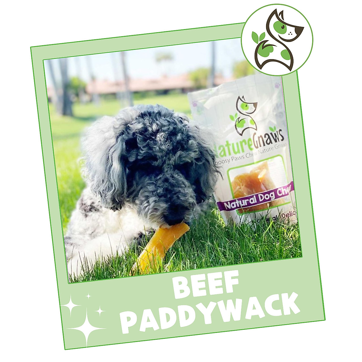 Nature Gnaws Beef Paddywack Tendons for Dogs 5-6" (10 Count) - Long Lasting for Aggressive Chewers - Natural Beef Dog Chew Bones - Rawhide Free