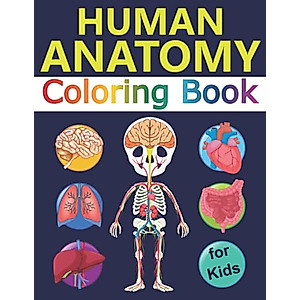 Human Anatomy Coloring Book for Kids: Over 30 Human Body Coloring Sheets, Great Gift for Boys & Girls, Ages 4, 5, 6, 7, and 8 Years Old (Alek's Coloring Books)