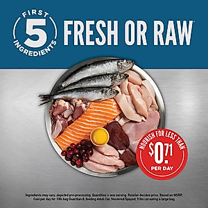 ORIJEN GUARDIAN 8 Dry Cat Food, Grain Free Cat Food for Adult Cats, With Chicken, Salmon and Rabbit, 4lb