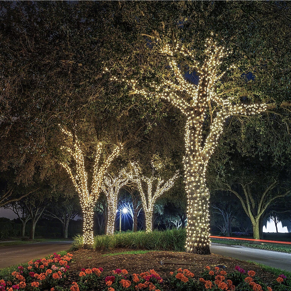 ORA LED Solar Powered String Lights, 100 LED’s, 55 ft, Waterproof, Dusk/Dawn Sensor, Perfect for Holiday, Christmas, Indoors, Outdoors, Home, Garden, Lawn, Patio, Decorative Landscape