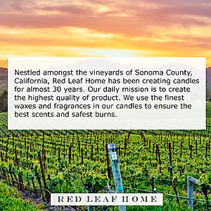 Red Leaf Home Lemon Lavender Jar Candle | Includes Wooden Lid, Large | Aromatherapy | Naturals Collection | 16.5oz