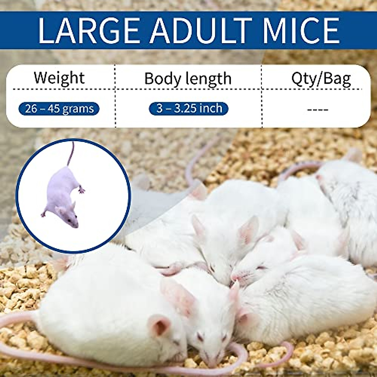 MiceDirect Frozen Large Adult Feeder Mice Food for Adult Ball Pythons Juvenile Red Tale Boa Monitors Lizards (100 Count)