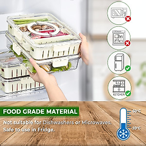 BRIFUFOUS Divided Serving Tray with Lid and Handle - Portable Snackle Box Charcuterie Container, Veggie Snack Box, Travel Snack Box Organizer, Multipurpose Storage Boxes with 4 Compartments & 4 Forks