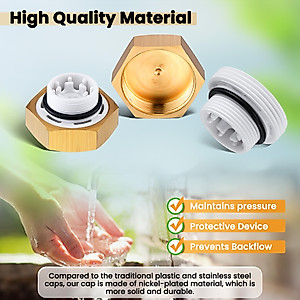 Ceoighe 2 Pack Anti Siphon Valve Repair Kit, Outdoor Frost Free Faucet, Vacuum Breaker Repair Kit Compatible with Legend LEG-108-903 T550 T550A, Frost Free Faucet Repair Kit for Outside Faucet Repair