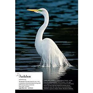 Audubon Engagement Calendar 2024: A Tribute to the Wilderness and Its Spectacular Landscapes
