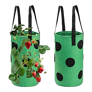 Luxiv Strawberry Grow Bags 3 Gallon, Strawberry Planting Bags with 12 Grow Pouches Plant Growing Hanger Bag for Tomato, Chili, Strawberry Planting Containers Garden Grow Bags (2, Green)