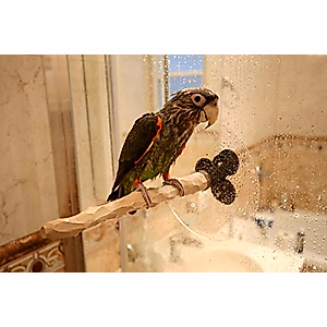 Shower NU Perch for Small to Medium Parrots