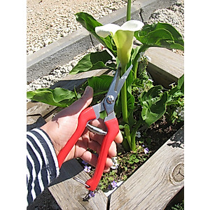 TABOR TOOLS K77A Straight Pruning Shears with Stainless Steel Blades, Florist Scissors, Multi-Tasking Garden Snips for Arranging Flowers, Trimming Plants, Harvesting Herbs, Fruits or Vegetables.
