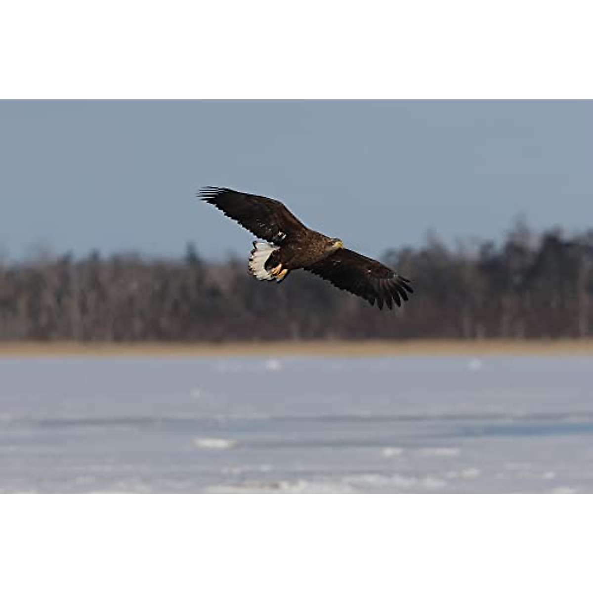 Canon EOS R7 Mirrorless Camera with RF-S 18-150mm Lens Kit