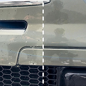 3D Bug Remover - All Purpose Exterior Cleaner & Degreaser to Wipe Away Bugs on Plastic, Rubber, Metal, Chrome, Aluminum, Windows & Mirrors, Suitable for use on Car Paint, Wax & Clear Coat 16oz.