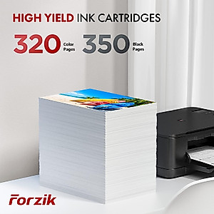 Forzik 245XL 246XL Ink Cartridge for Canon PG-245XL CL-246XL, Higher Yield Compatible with Canon Pixma MX490 MX492 MG2522 TS3100 TS3122 TS3300 TS3322 TS3320 TR4500 TR4520 TR4522 MG2500 Printer