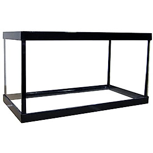 3 Place Betta Aquarium 1.5 Gallon