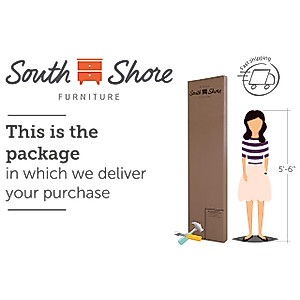 South Shore Fusion 2-Drawer Platform Bed, Queen, Pure White