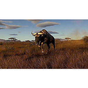 Way of the Hunter - Hunting Season One - Xbox Series X