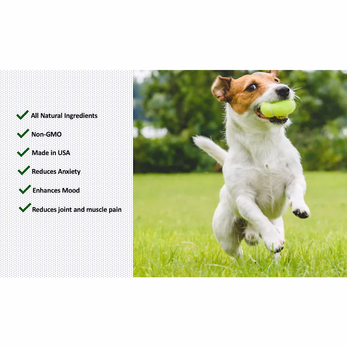 (2 Packs) Benefita Hemp Pet Oil for Dogs and Cats. Anxiety, Stress, Pain, Inflammation, Skin, Allergies, Relief Joint Hip, Arthritis, Sleep Aid, Calming Effect, Oil Dropper Organic Extract, amber