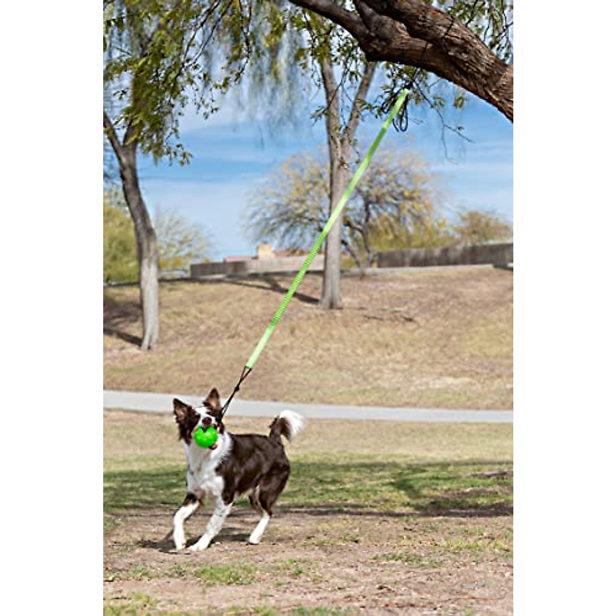 Jolly Pets Tree Tugger For Dog, Green