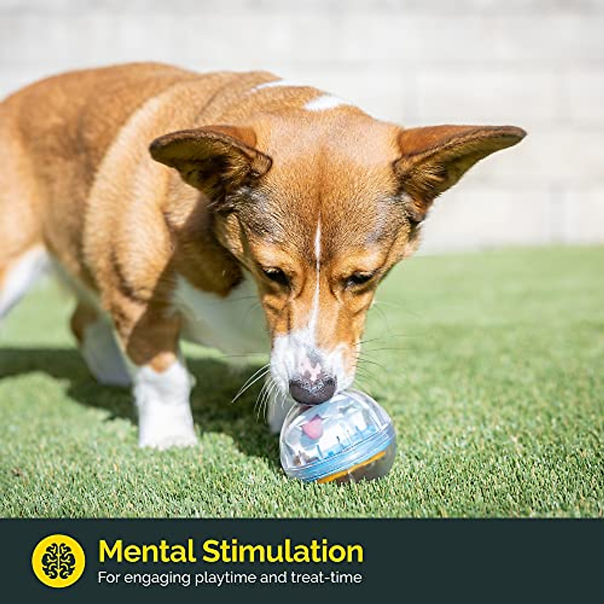 Pet Zone IQ Treat Ball Dog Treat Dispenser Interactive Dog Toy - 3" - for Dogs and Cats - Adjustable Difficult Dog Ball for Treats