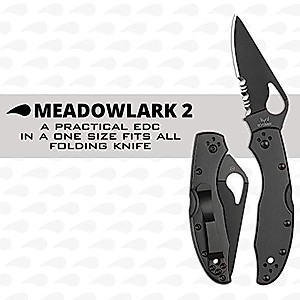 Spyderco Byrd Meadowlark 2 Knife with 2.90" Black Steel Blade and Durable Black Stainless Steel Handle - CombinationEdge - BY04BKPS2