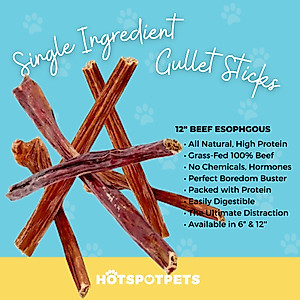 hotspot pets Premium Beef Gullet Sticks for Dogs 12" - All Natural Grass-Fed Beef Dog Chews, Rich in Glucosamine Chondroitin for Joint Health, Single Ingredient No Rawhide Dog Treats
