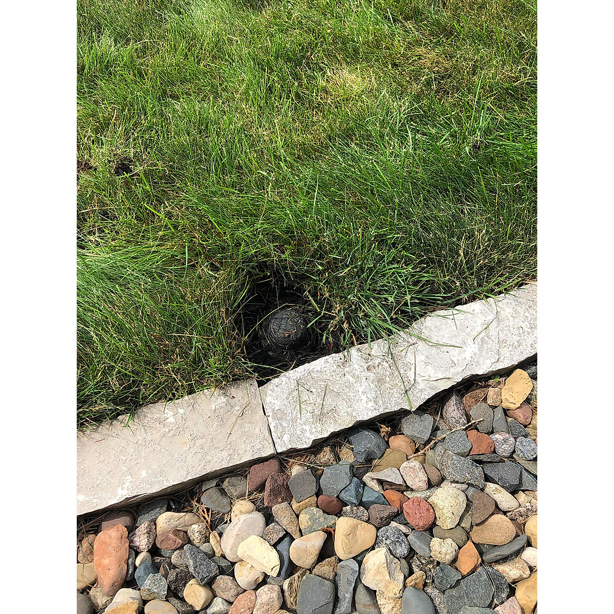 Keyfit Tools Power Sprinkler Head Trimmer 4" Diameter Trim Your Rotors & Spray Heads in Seconds! for Overgrown Sprinklers & Clean Appearance Adjustment Replacement & Raising Cordless Drill Attachment