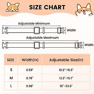 5PCS Girl Dog Collar and Leash Sets,BOZILY Cute Dog Collars Set for Female Dogs,Adjustable Puppy Collars,Safety Metal Buckle (S)