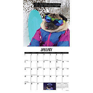Doug the Pug 2023 Wall Calendar