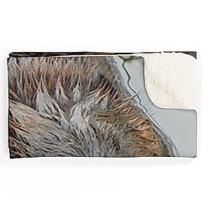 CafePress Beaver Swimming Sherpa Fleece Throw Blanket