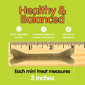 Fido Naturals Super Breath Dental Care Bones for Dogs - 21 Count Mini Dog Dental Treats for Small Dogs (Made in USA) - Tasty Dog Dental Chews Help Reduce Plaque, Tartar Buildup, and Freshens Breath