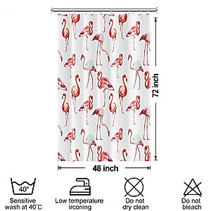 Uiiooazy Pink Flamingos for Bathroom Shower Curtain Nature Animal Shower Curtains Cloth Birds Fabric Shower Curtain with Hooks for Girls 48x72 inches