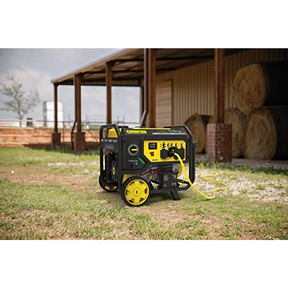 Champion Power Equipment 201194 11,500/9,200-Watt Dual Fuel Portable Generator, Electric Start