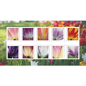 USPS 2023 Tulip Blossoms Forever First Class Postage Stamps (20 Count Strip)