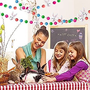 2 Pcs Easter Felt Garland Banner Wool Felt Bunny Ball Garland Hanging Bunting Ornaments Happy Easter Garland Party Decorations for Mantle Fireplace Baby Shower Birthday