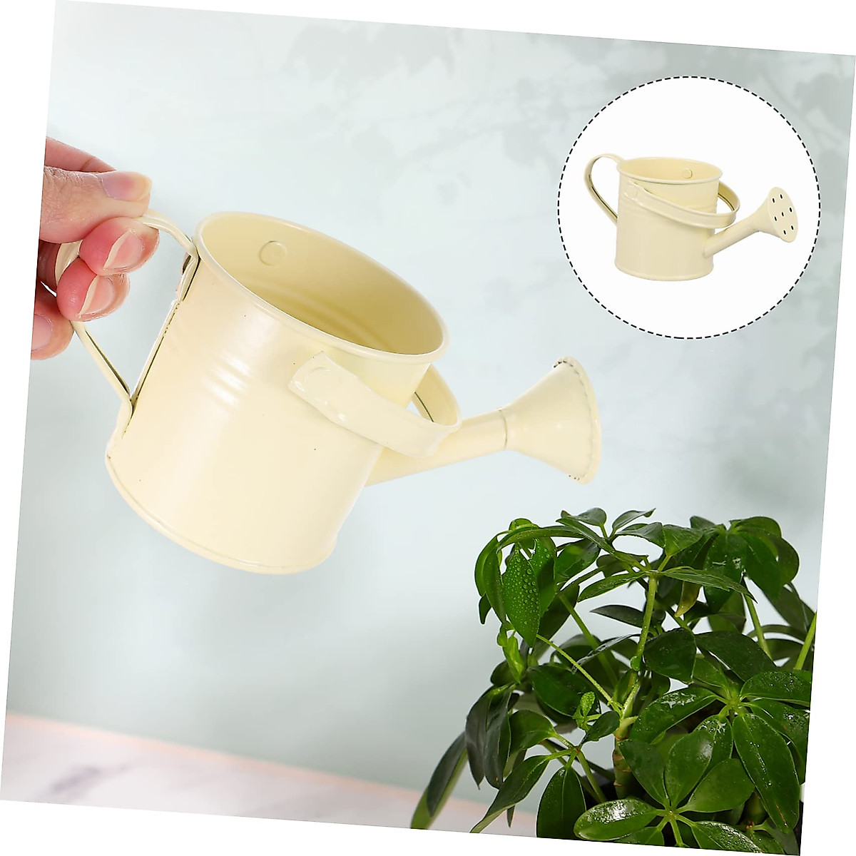 10 pcs Pour and Sprinkler Can Mini Spout Galvanized Plant Portable Yard Tin Pot Succulents Long Bucket Small for Cans Shabby Spray Kettle Display Metal Watering Sturdy