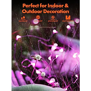 Twinkle Star 4 Pack Outdoor Solar String Lights, 39.4 FT 120 LED Solar Powered Halloween Decorative Fairy Lights with 8 Modes, Waterproof Black Wire for Christmas Patio Yard Wedding Party, Purple