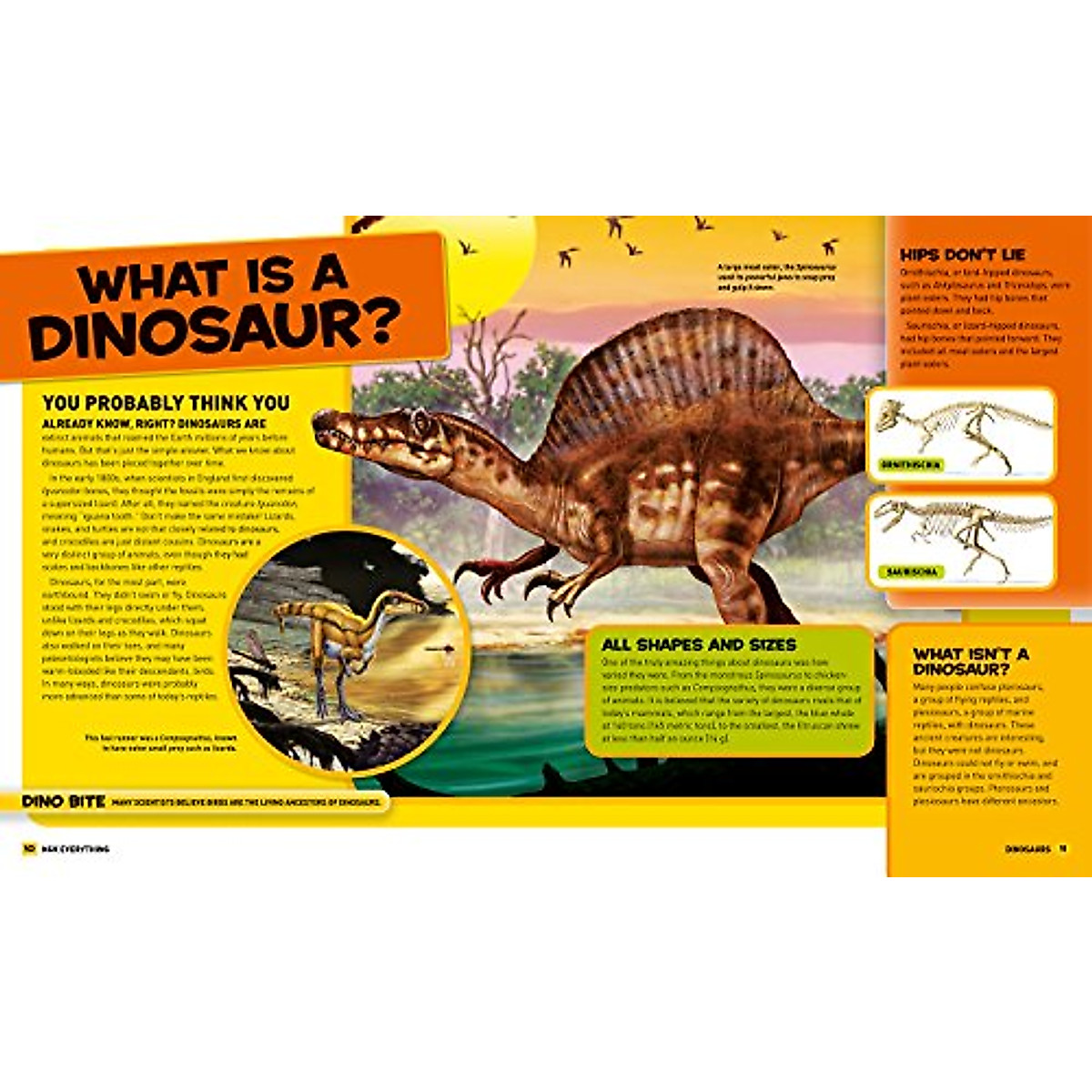 National Geographic Kids Everything Dinosaurs: Chomp on Tons of Earthshaking Facts and Fun