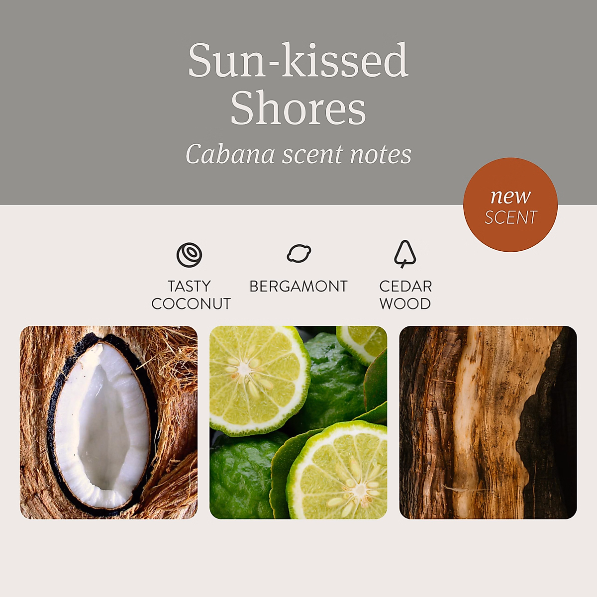 Drift Car Air Freshener - Stone Air Freshener - Car Odor Eliminator - Cabana Scent Starter Kit