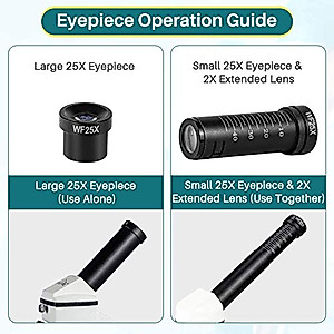 Microscope for Kid Student Adult, 100X-2000X Compound Monocular Microscope with Mechanical Platform Slides Set, Phone Adapter for School Home Education