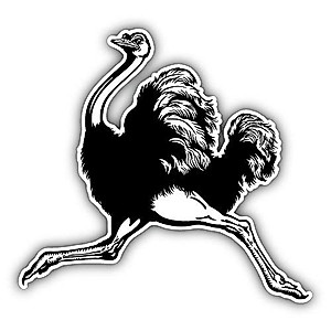 DG Graphics Running Ostrich Art Decor 5'' x 5'' Magnet Vinyl Magnetic Sheet for Lockers, Cars, Signs, Refrigerator