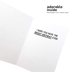 Sleazy Greetings Funny Birthday Card For Women or Men | Cheeky Boob Card For Him Her | Dirty Adult Friend Bday Card with Envelope | Tit's Your Birthday