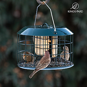 Kingsyard Squirrel Proof Suet Feeder, Cage Bird Feeders for Outdoors Hanging, All Metal, Double Suet Cake Capacity, Tray & Weatherproof, Green