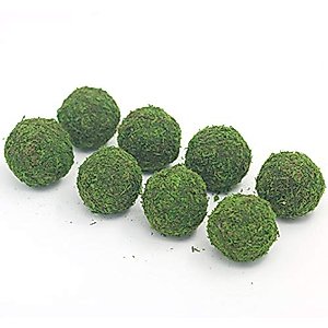 Nice purchase Handmade Natural Green Plant Moss Balls Decorative for Home Party Display Decor Props (2 in)