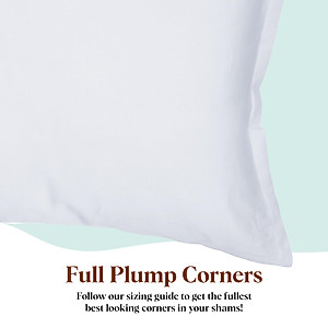 Pillowflex Premium Polyester Throw Pillow Insert - 14x36 - Ultra Soft Large Rectangle Throw Pillow, Couch Sham, Lumbar, Back, Sofa - Machine Washable - Decorative Accent Form - 1 Soft Pillow