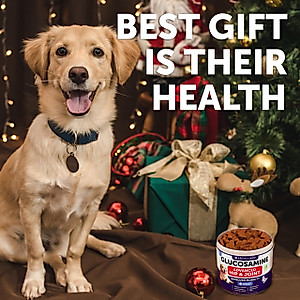 Glucosamine for Dogs - Hip and Joint Supplement for Dogs - Glucosamine Chondroitin for Dogs, Turmeric, MSM - Dog Glucosamine Support - Dog Joint Pain Relief Health - 120 Chews - Duck Flavor