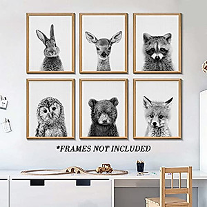EPHANY Black and White Wall Art, Baby Animal Posters and Prints, Safari Bunny Prints, Nursery Bear Wall Art, Owl Print Wall Art Nordic Picture Kids Room Decoration (YMX017,8"x10"(20x25cm))