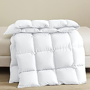 Soft Comforter Queen Size-Lightweight Down Alternative Comforter Duvet Insert with 8 Corner Tabs-Fluffy Breathable Box Stitched Reversible Comforter(White, Queen)