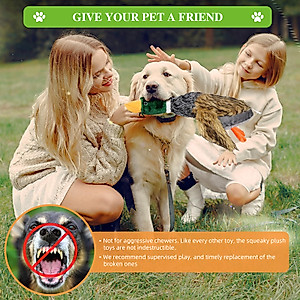 wangstar Squeaky Dog Toy for Puppy Dogs Toys to Keep Them Busy Mallard Duck Stuffed Dog Toys for Medium Small Dogs, 9" x3 Wild Duck