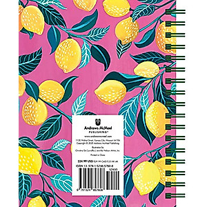 Posh: Deluxe Organizer 17-Month 2020-2021 Monthly/Weekly Planner Calendar: Lemondrops
