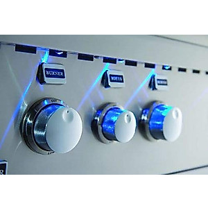 42" SS Built-In Gas Grill w/4 Burner, Work Light and LED Controls - NG