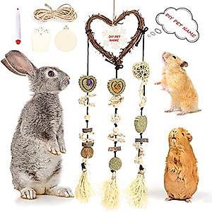 DAMPET Bunny Chew Toys， Bunny Teeth Grinding Chew Toys, Rabbit Cage Hanging Chew Toys, All Natural Materials for Guinea Pigs, Hamsters, Rabbits and Rats